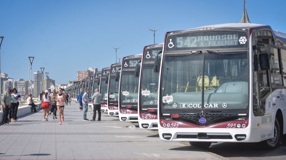 Presentaron nuevos colectivos y el proyecto de crear una línea anular ...